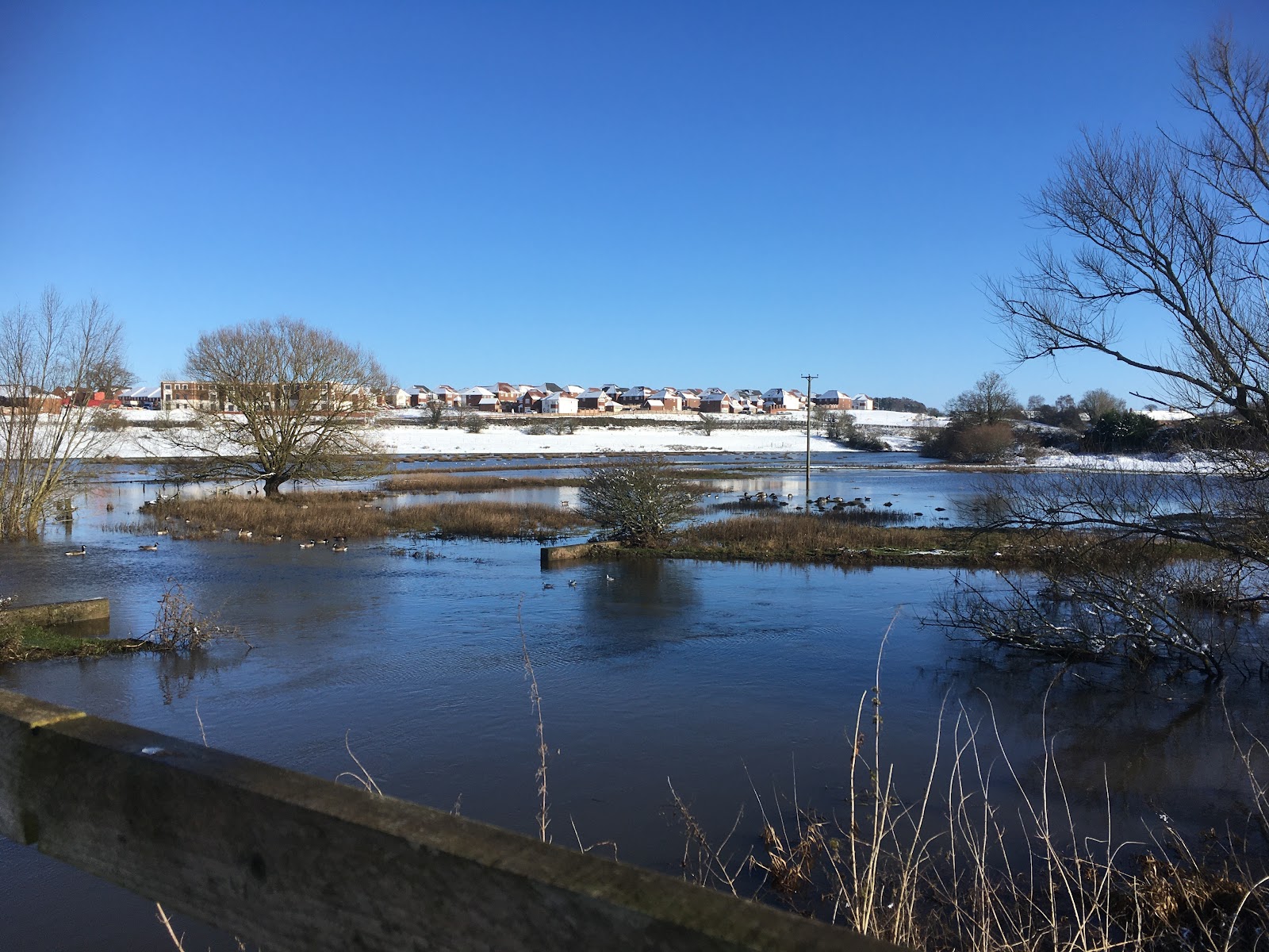 Staffordshire and Worcestershire Canal Baswich (2026) – Best of TikTok ...