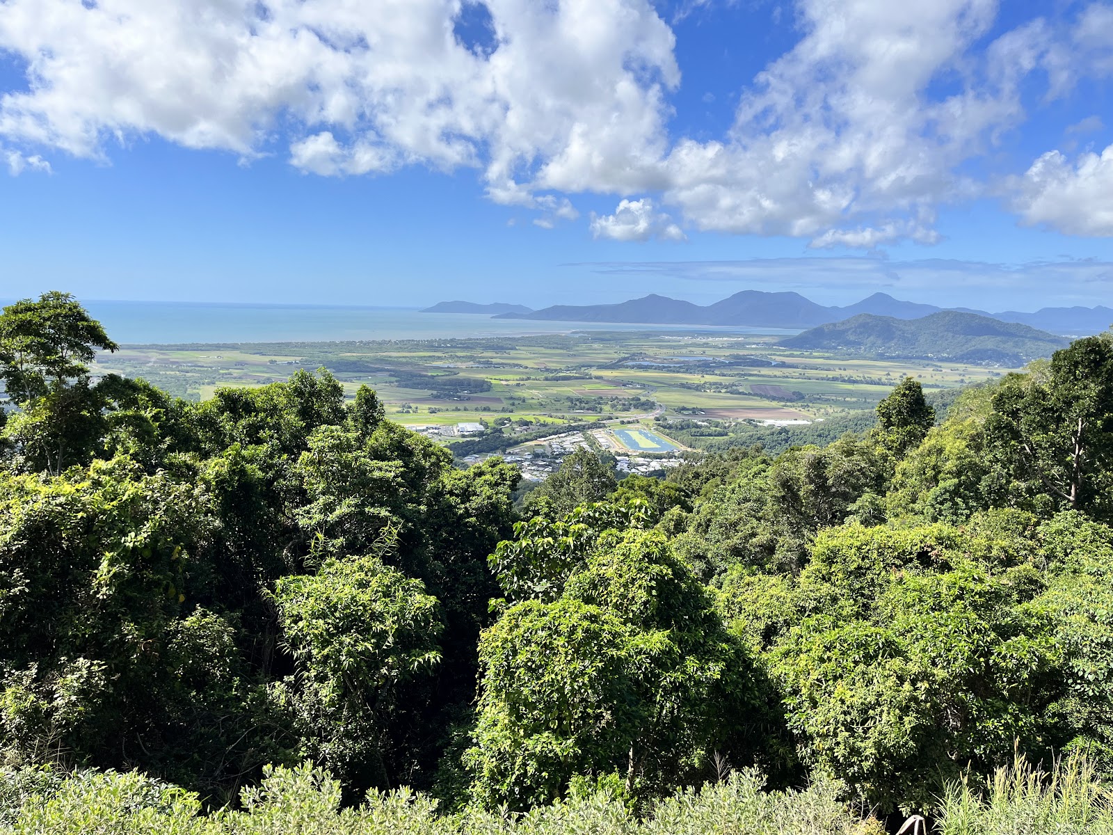 Henry Ross Lookout (2025) – Best of TikTok, Instagram & Reddit Travel Guide