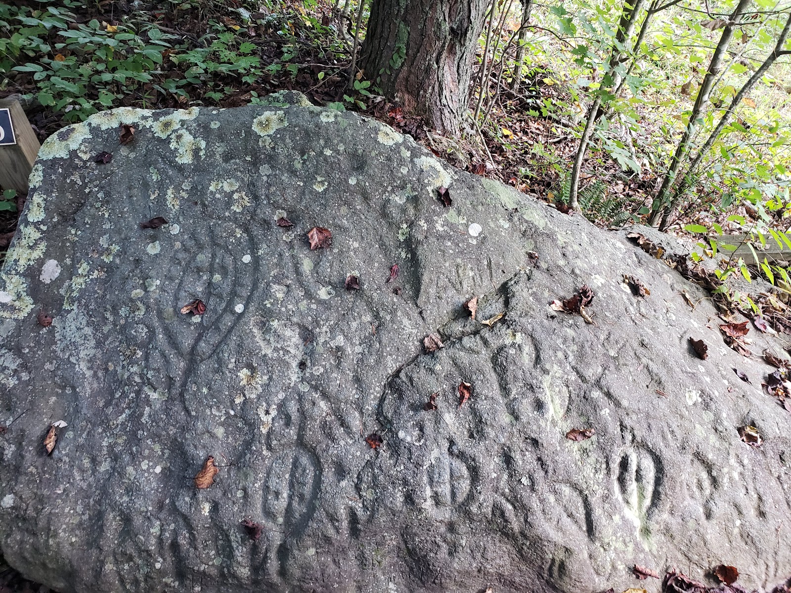 Track Rock Gap Petroglyphs (2026) – Best of TikTok, Instagram & Reddit ...