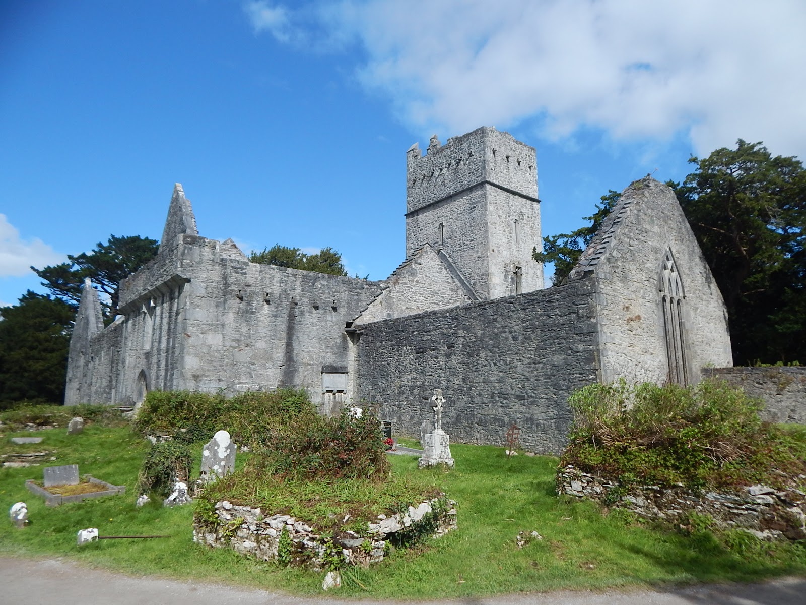 Muckross Abbey (2026) – Best of TikTok, Instagram & Reddit Travel Guide