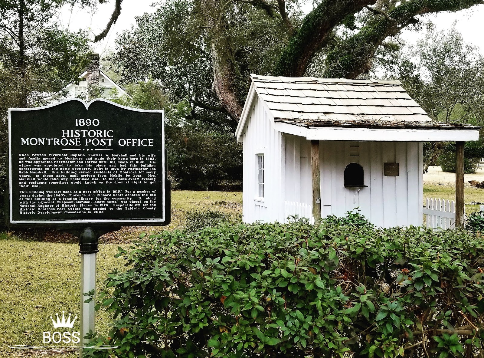 Montrose Historic District (2026) – Best of TikTok, Instagram & Reddit ...