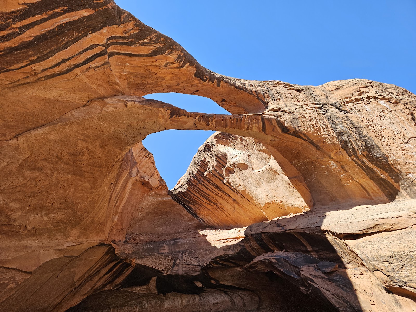 Brimhall Natural Bridge (2026) – Best of TikTok, Instagram & Reddit ...