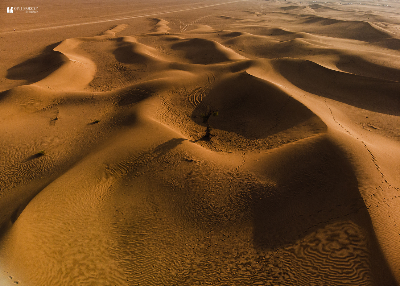 Al Qudra Desert (2026) – Best of TikTok, Instagram & Reddit Travel Guide