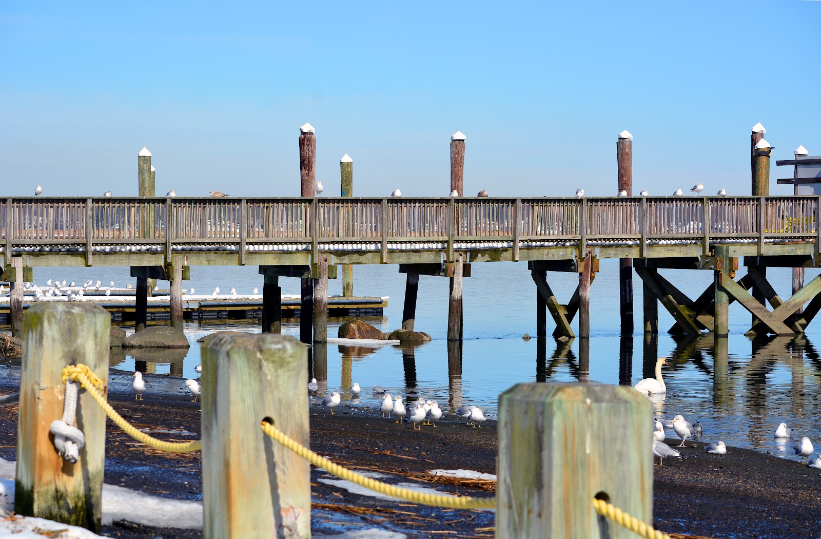 Birdseye Boat Ramp and Pier (2025) – Best of TikTok, Instagram & Reddit ...
