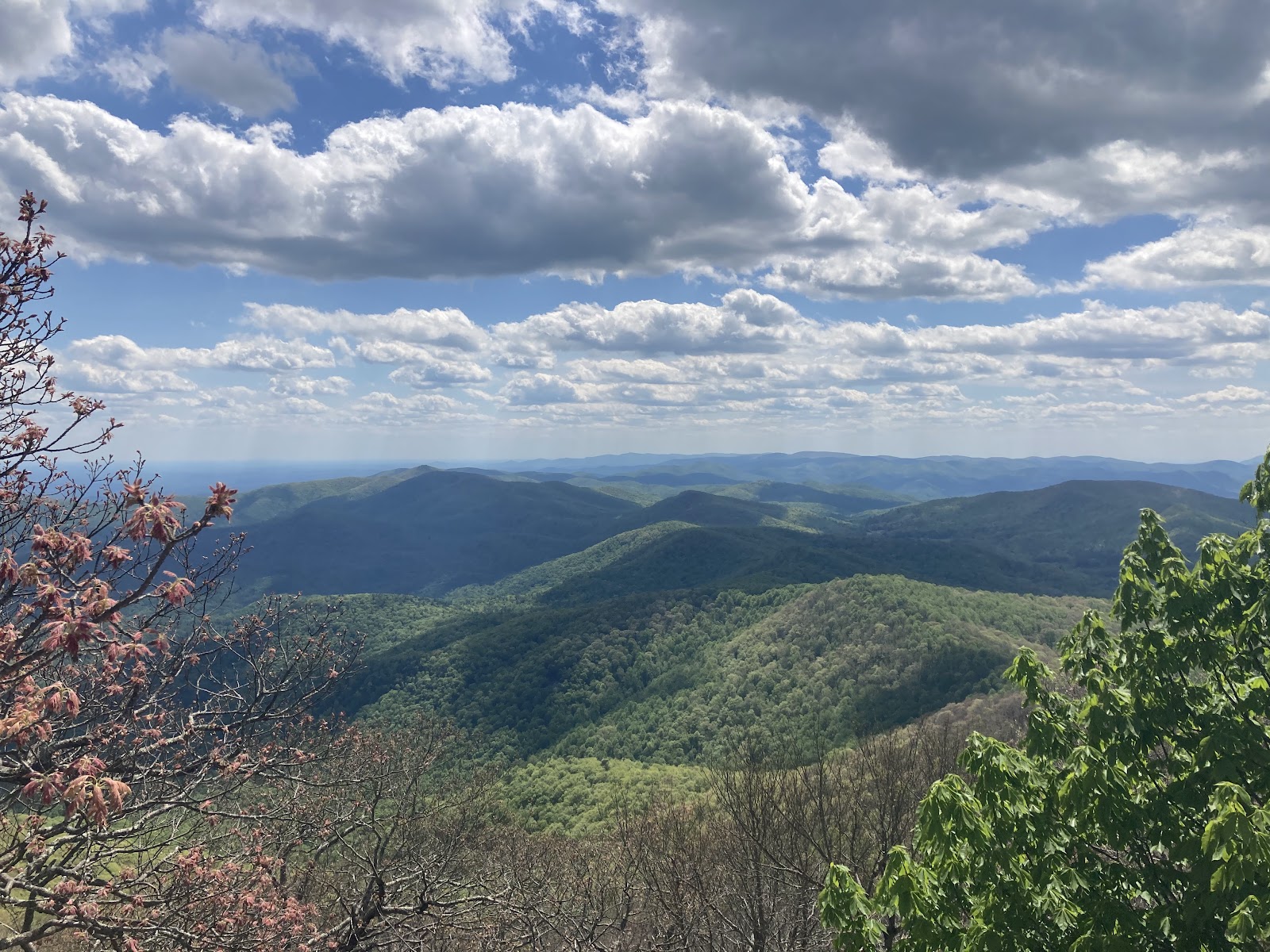 Blood Mountain Georgia (2025) – Best of TikTok, Instagram & Reddit ...