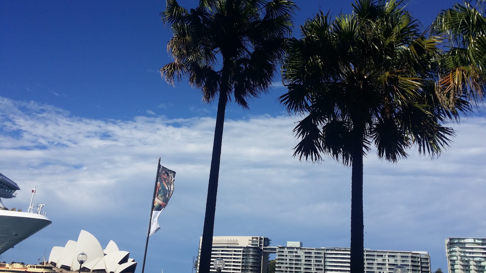 Manly to Circular Quay Sydney (2026) – Best of TikTok, Instagram ...
