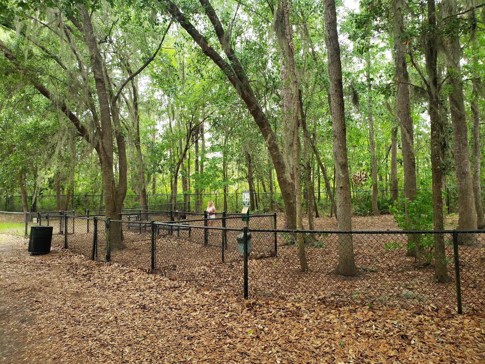 Frederica Park (2025) – Best of TikTok, Instagram & Reddit Travel Guide