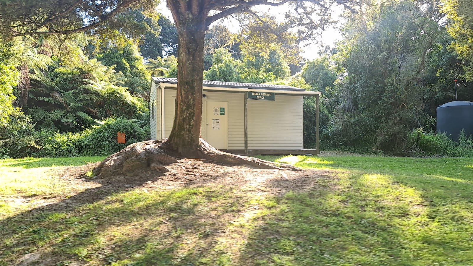 Totara Reserve Regional Park (2026) – Best of TikTok, Instagram ...