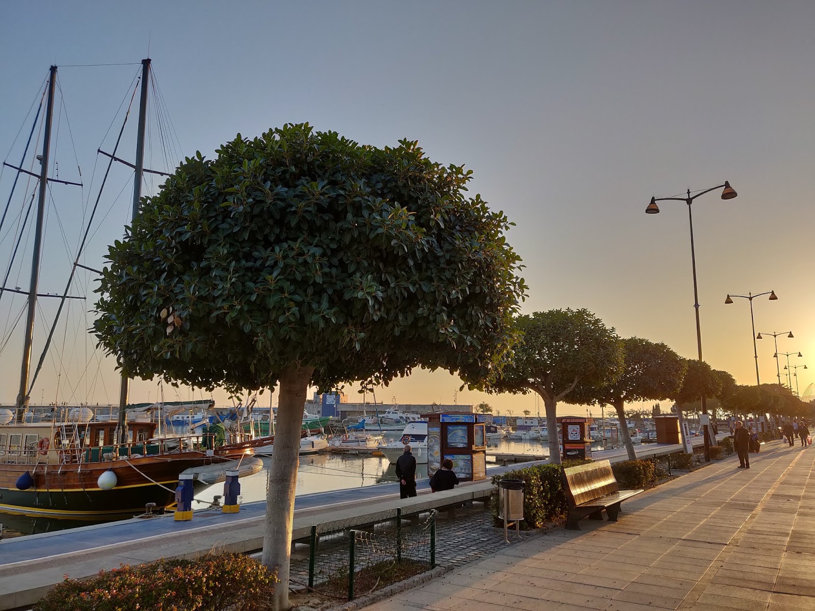 Passeig Miramar Seafront Promenade (2025) – Best of TikTok, Instagram ...