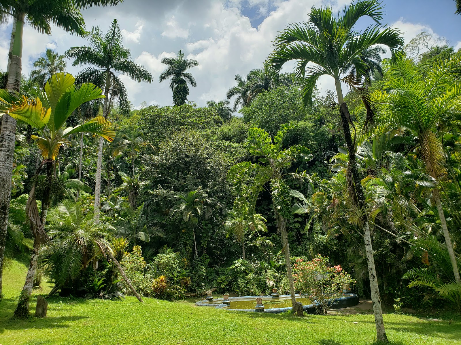 Castleton Botanical Gardens (2025) – Best of TikTok, Instagram & Reddit ...
