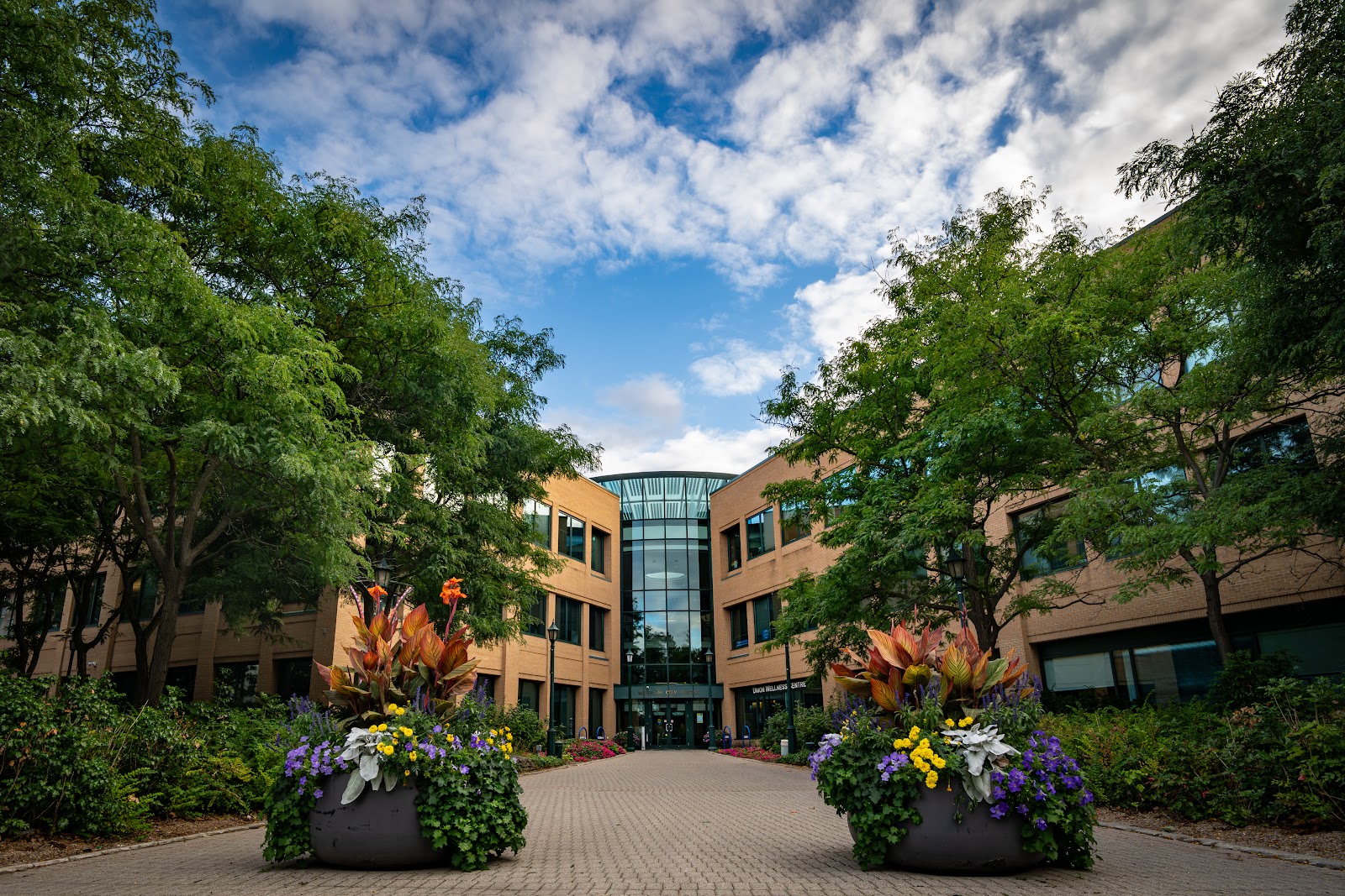 Waterloo City Hall (2026) – Best of TikTok, Instagram & Reddit Travel Guide