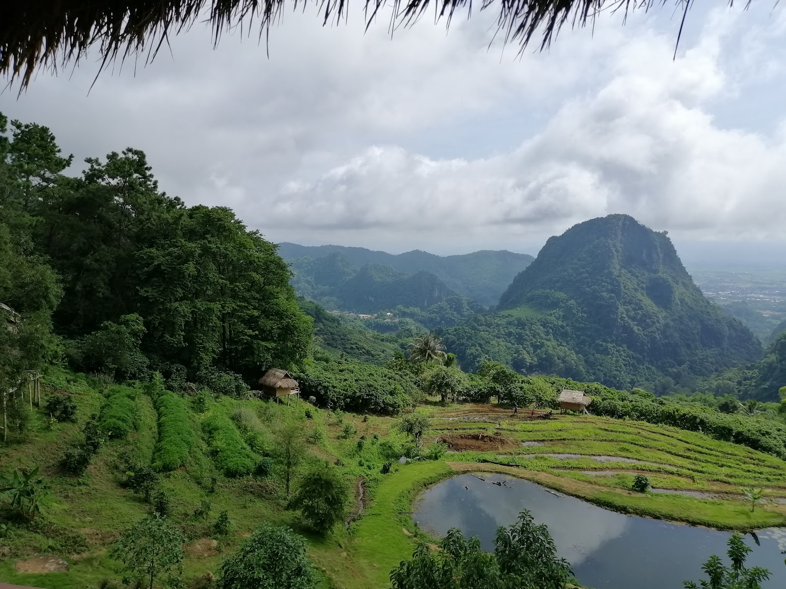 Pha Mee Village (2026) – Best of TikTok, Instagram & Reddit Travel Guide