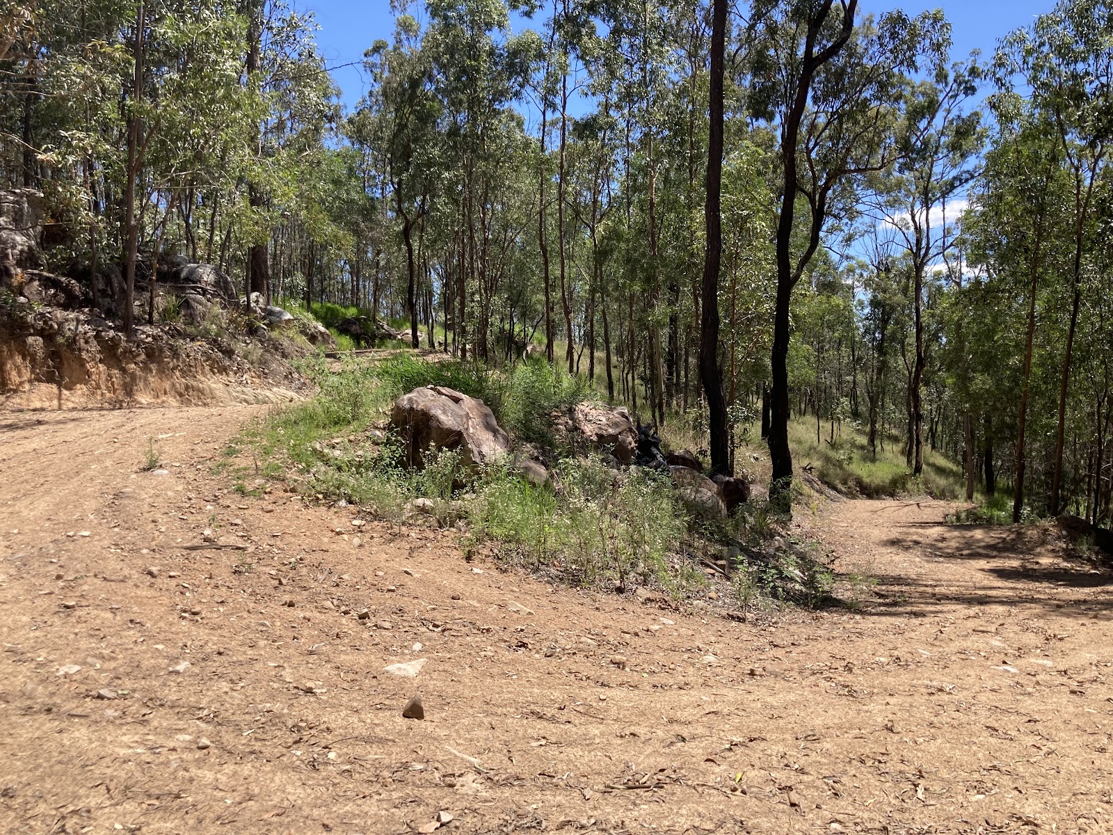 Mount Coot-tha Reserve Brisbane (2026) – Best of TikTok, Instagram ...