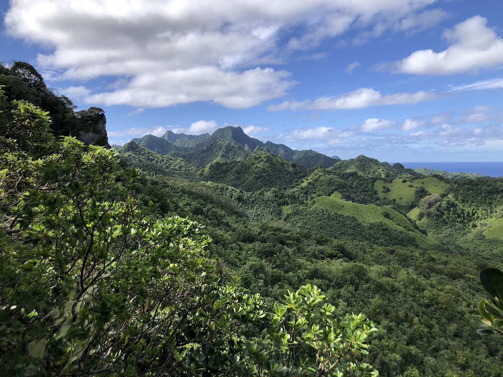 Mount Raemaru Track (2026) – Best of TikTok, Instagram & Reddit Travel ...