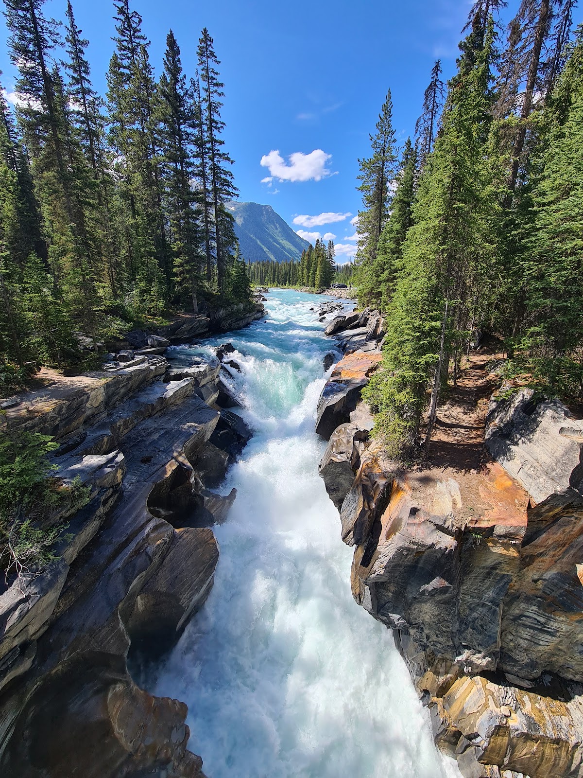 Numa Falls Kootenay National Park (2026) – Best of TikTok, Instagram ...