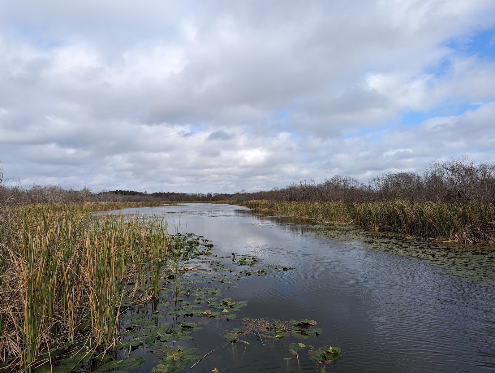 Emeralda Marsh Conservation Area (2026) – Best of TikTok, Instagram ...