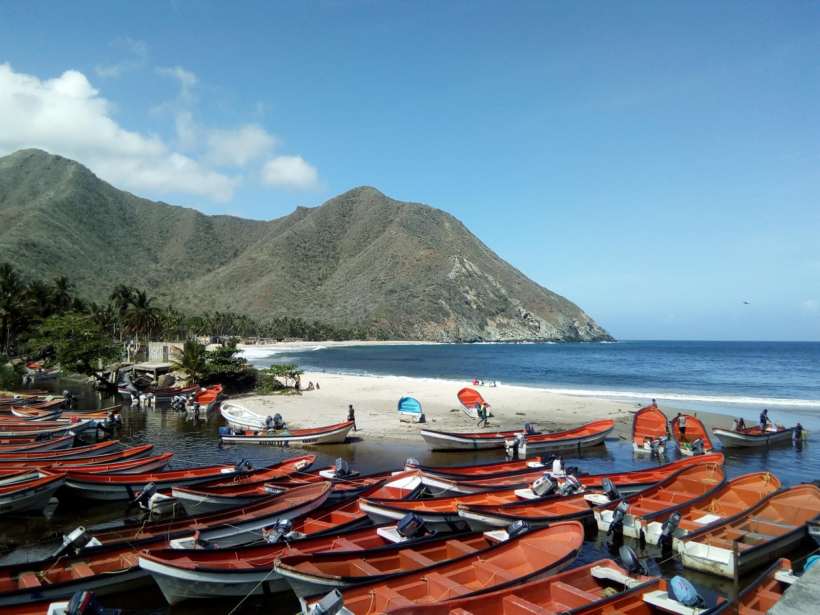 Playa Chuao Venezuela (2026) – Best of TikTok, Instagram & Reddit ...