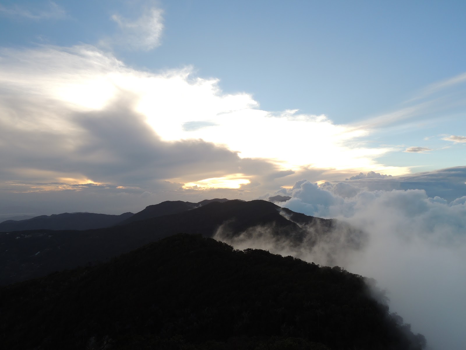 Pico Codazzi Venezuela (2026) – Best of TikTok, Instagram & Reddit ...