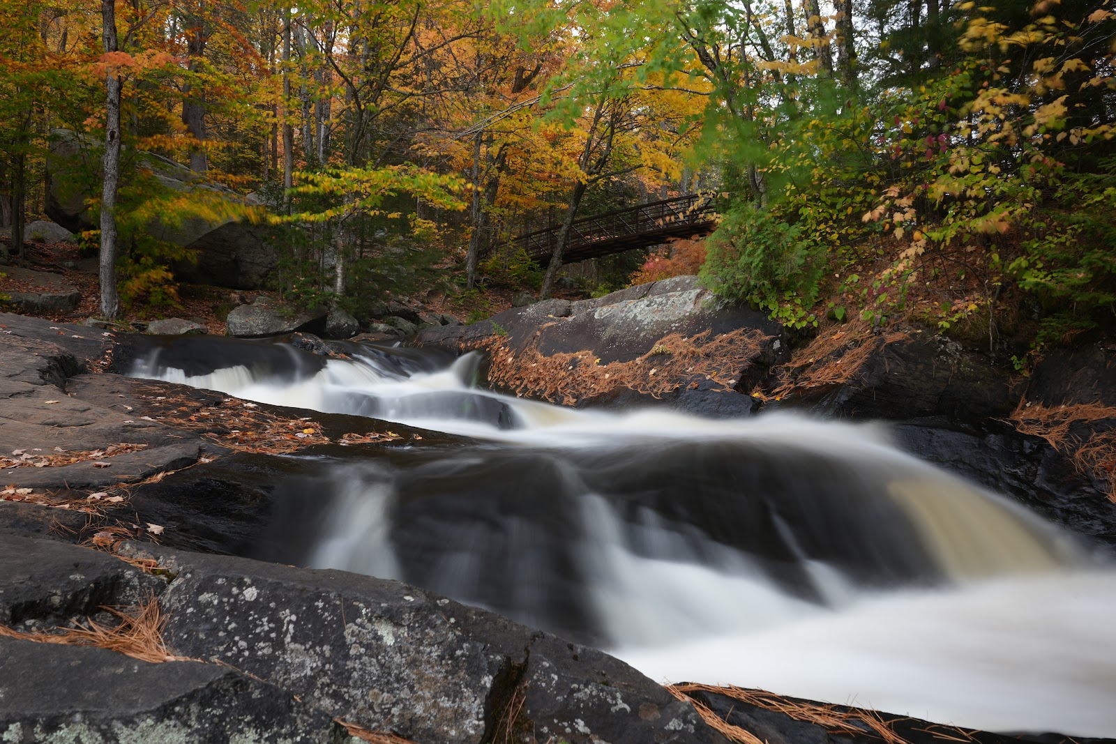 Stubb's Falls (2026) – Best of TikTok, Instagram & Reddit Travel Guide