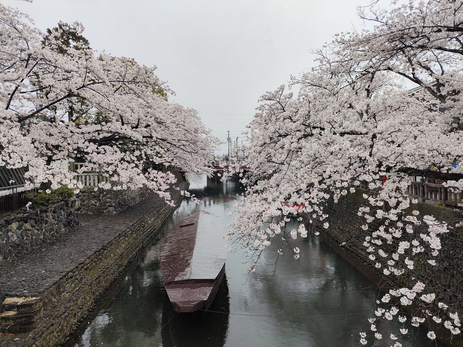 Suimon River and Waterways (2026) – Best of TikTok, Instagram & Reddit ...