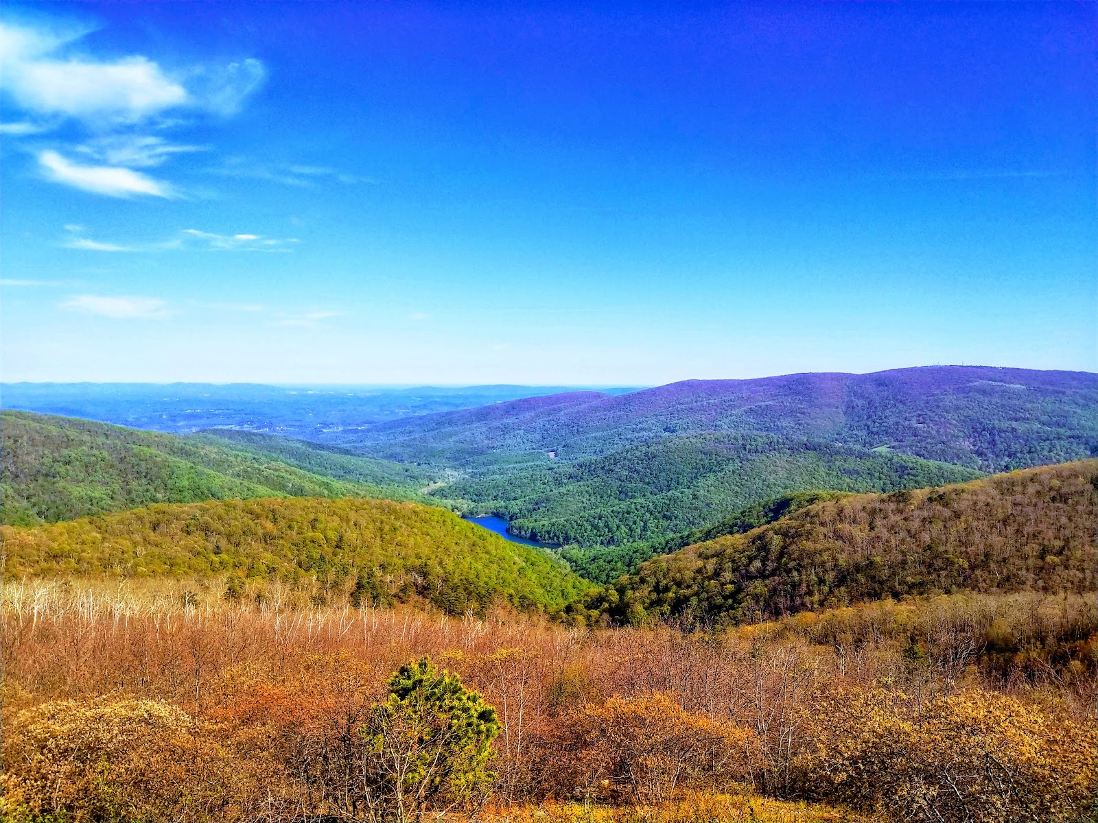 Moormans River Overlook (2026) – Best of TikTok, Instagram & Reddit ...
