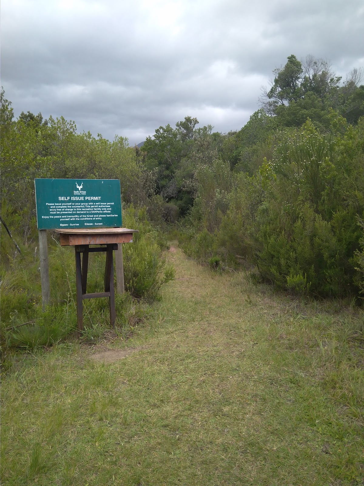 Saasveld Forest Trails (2026) – Best of TikTok, Instagram & Reddit ...