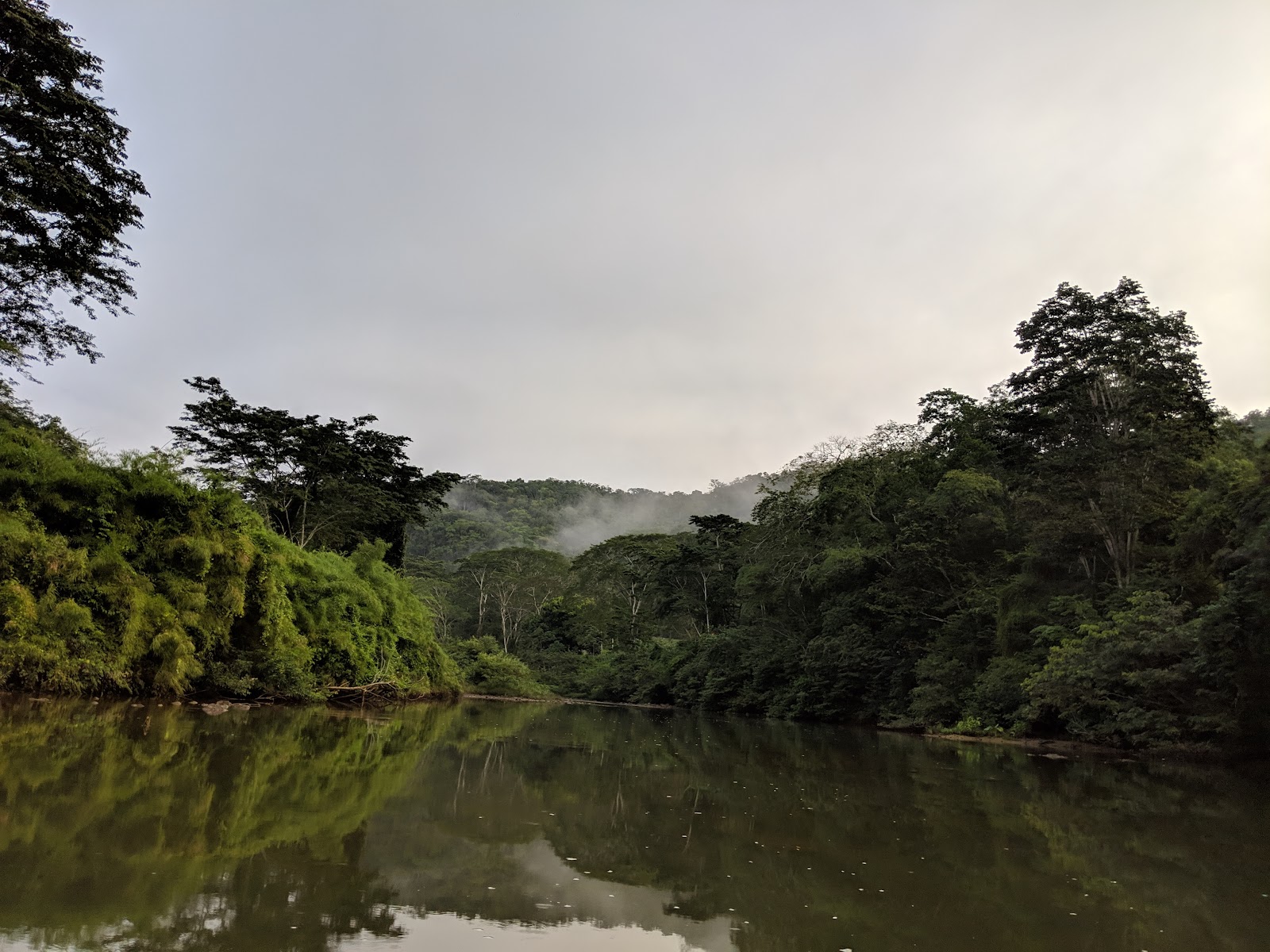 Macal River Belize (2026) – Best of TikTok, Instagram & Reddit Travel Guide