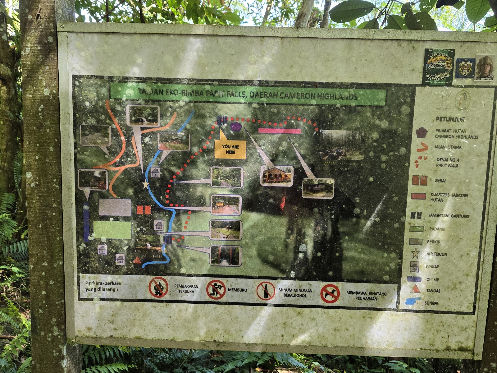 Cameron Highlands Trail 4 Parit (2026) – Best of TikTok, Instagram ...