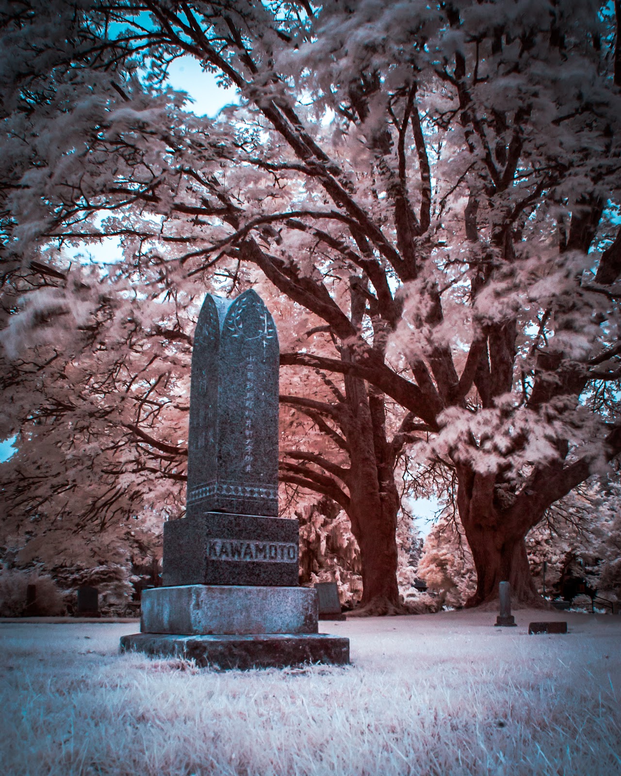Maple Ridge Cemetery (2025) – Best of TikTok, Instagram & Reddit Travel ...