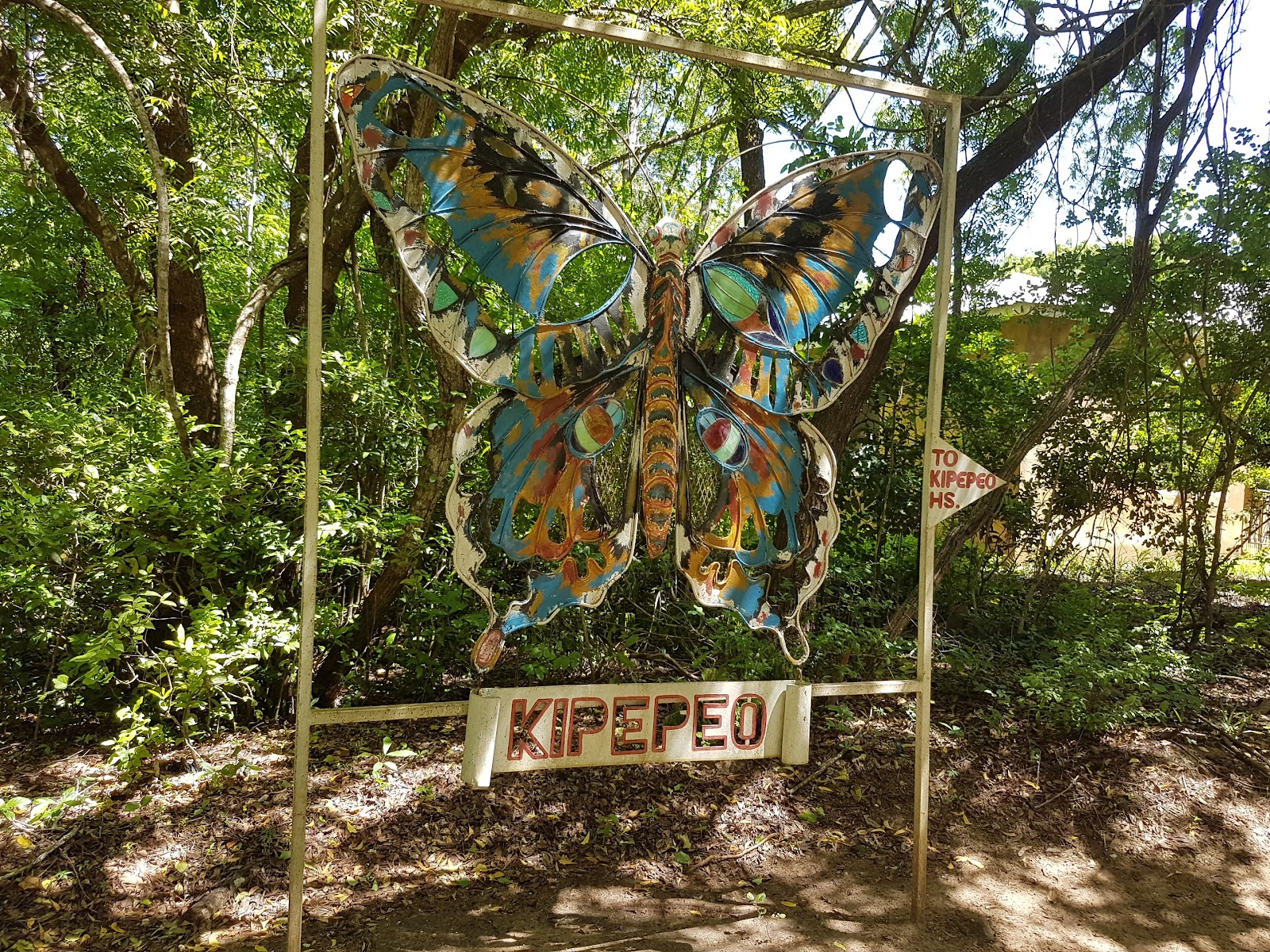 Kipepeo Butterfly Project Gede (2025) – Best of TikTok, Instagram ...