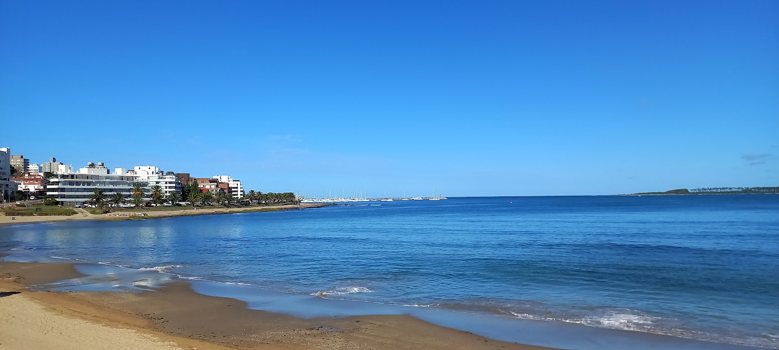 Punta del Este Peninsula (2026) – Best of TikTok, Instagram & Reddit ...