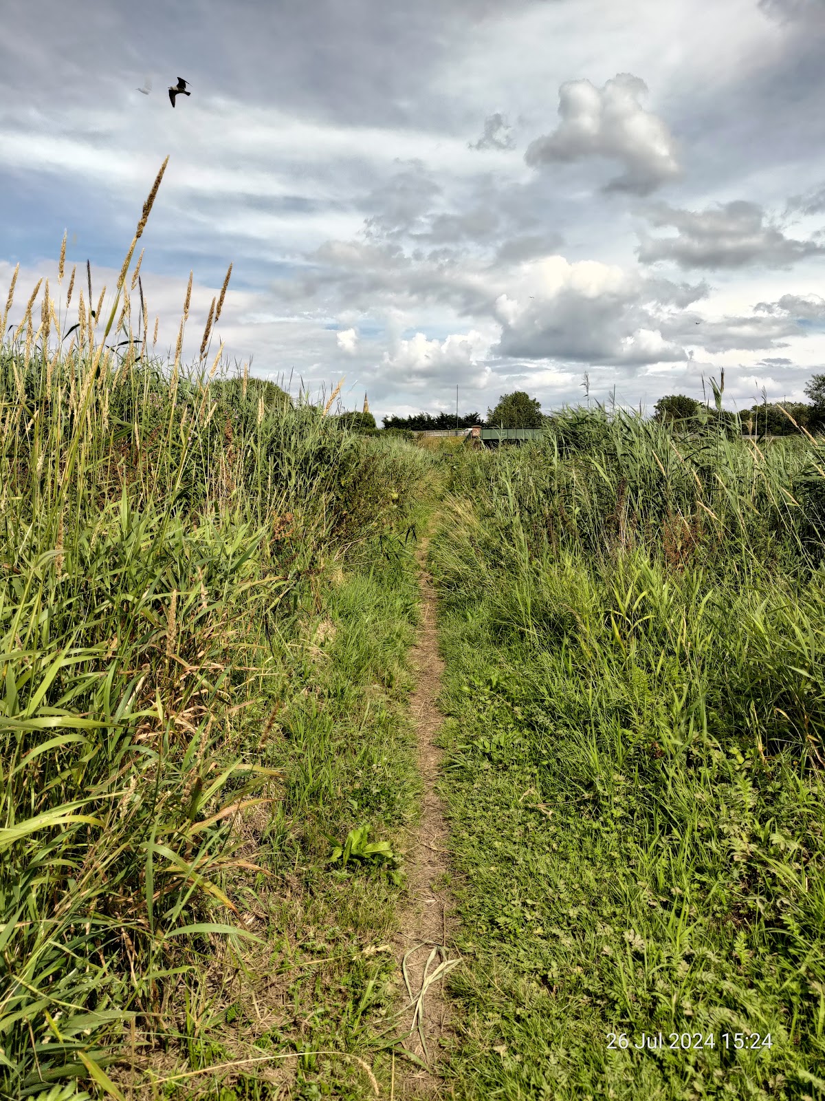 Coatham Marsh Nature Reserve (2026) – Best of TikTok, Instagram ...