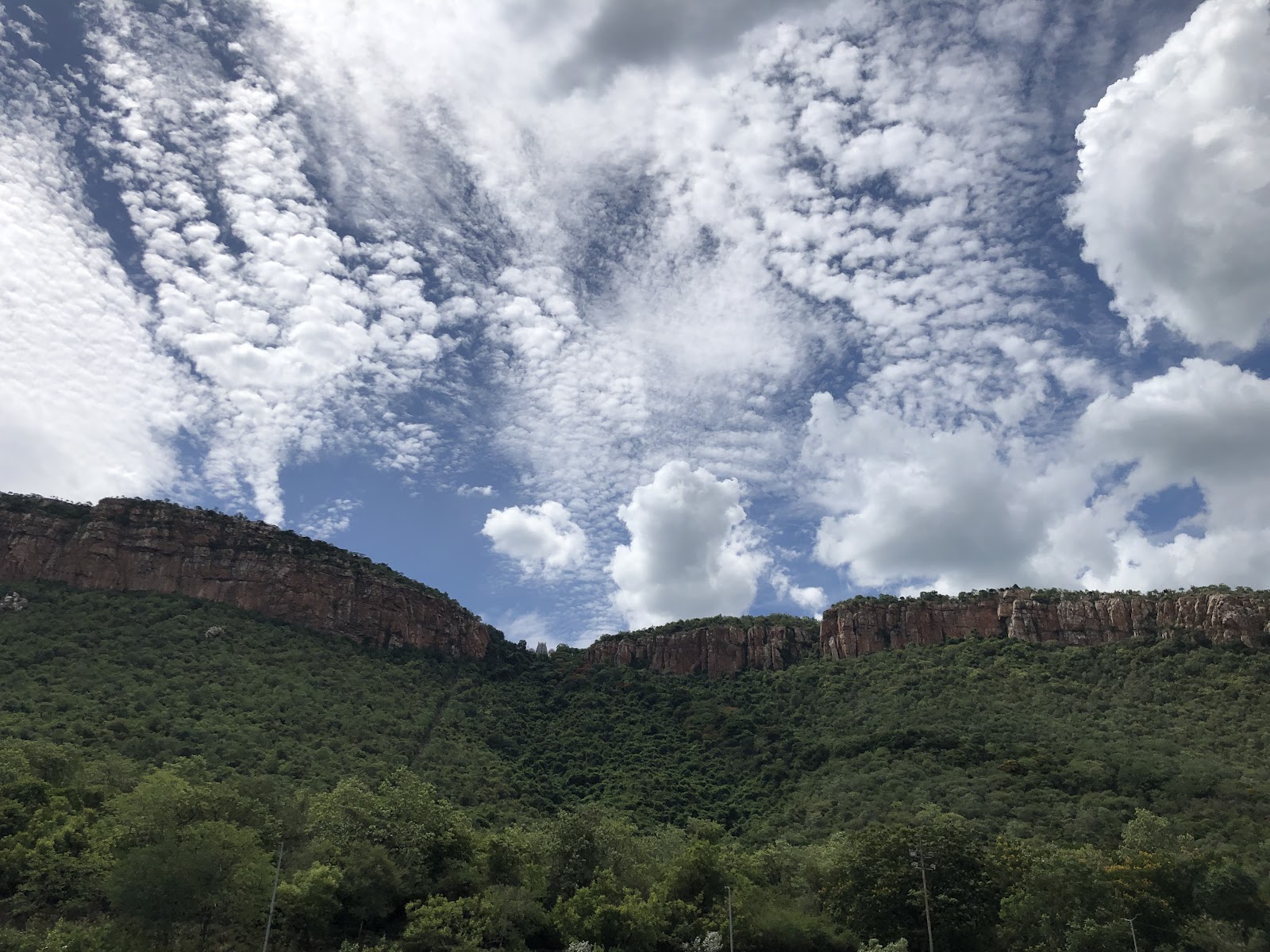 Seshachalam Hills (2026) – Best of TikTok, Instagram & Reddit Travel Guide