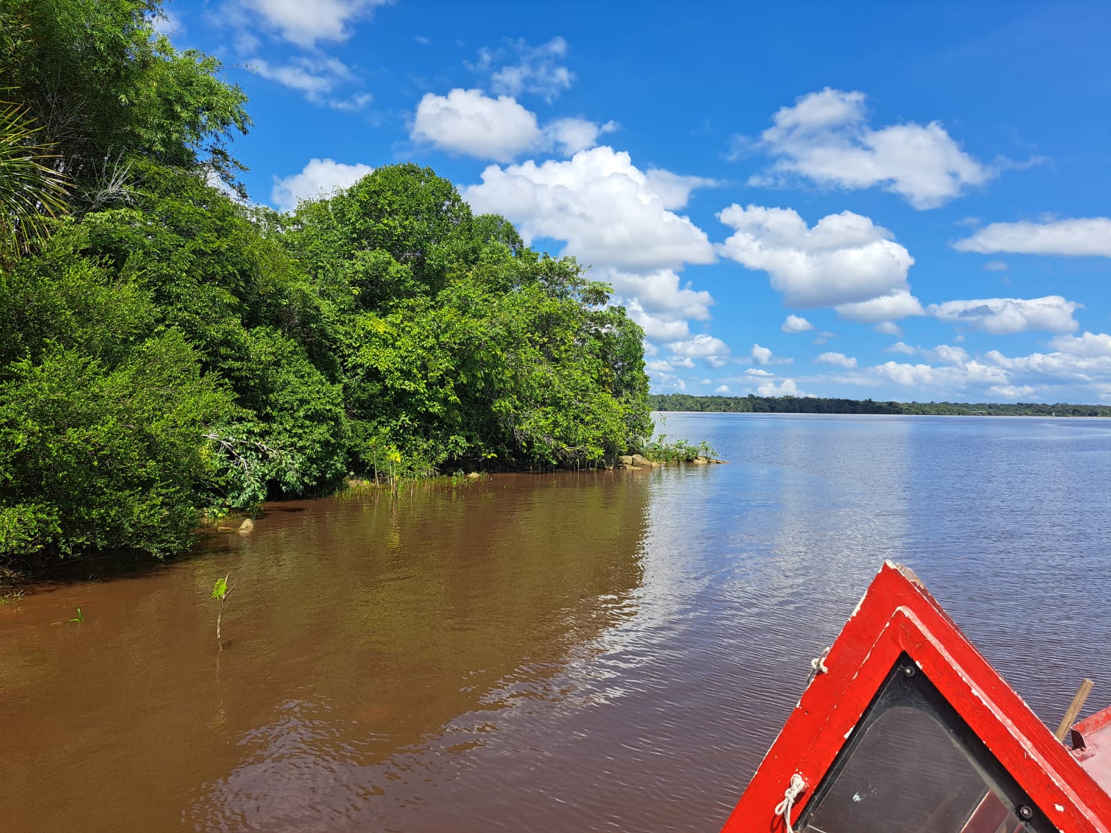 Essequibo River Island Hopping (2026) – Best of TikTok, Instagram ...