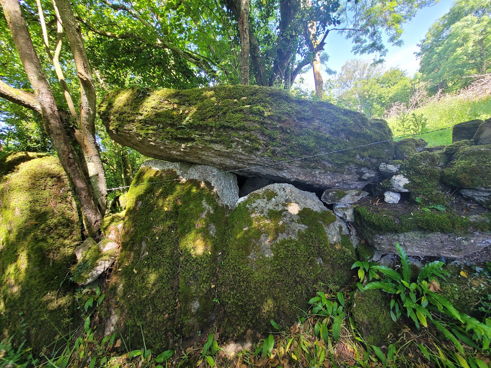 Meehambee Dolmen (2026) – Best of TikTok, Instagram & Reddit Travel Guide