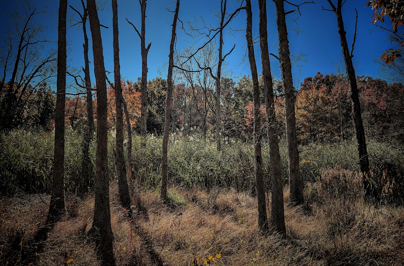 Serpentine Barrens Conservation Park (2026) – Best of TikTok, Instagram ...