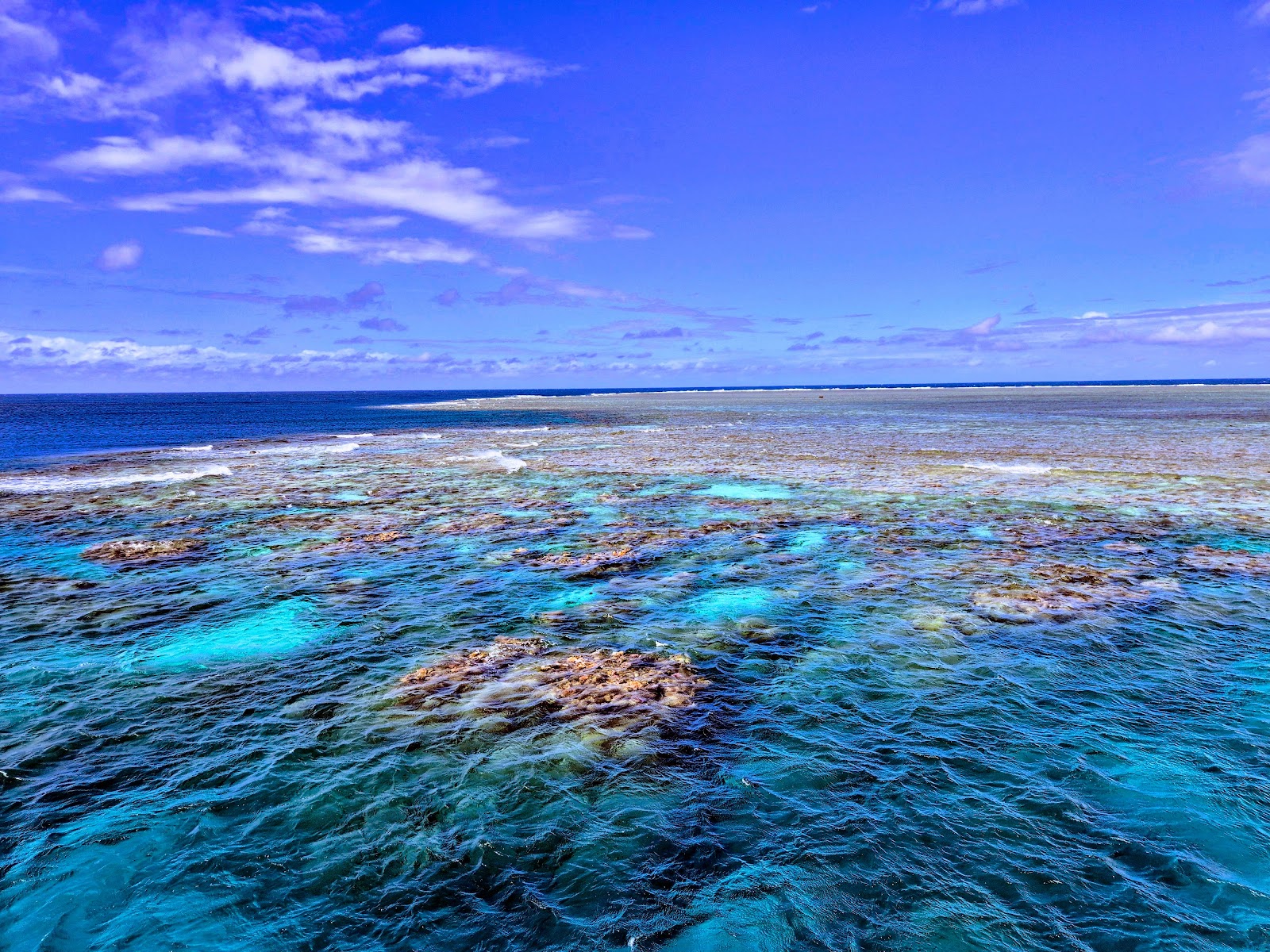 Saxon Reef (2026) – Best of TikTok, Instagram & Reddit Travel Guide