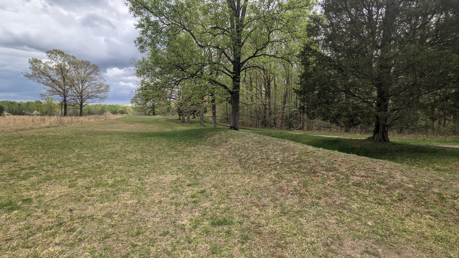 Bloody Angle Mule Shoe (2025) – Best of TikTok, Instagram & Reddit ...