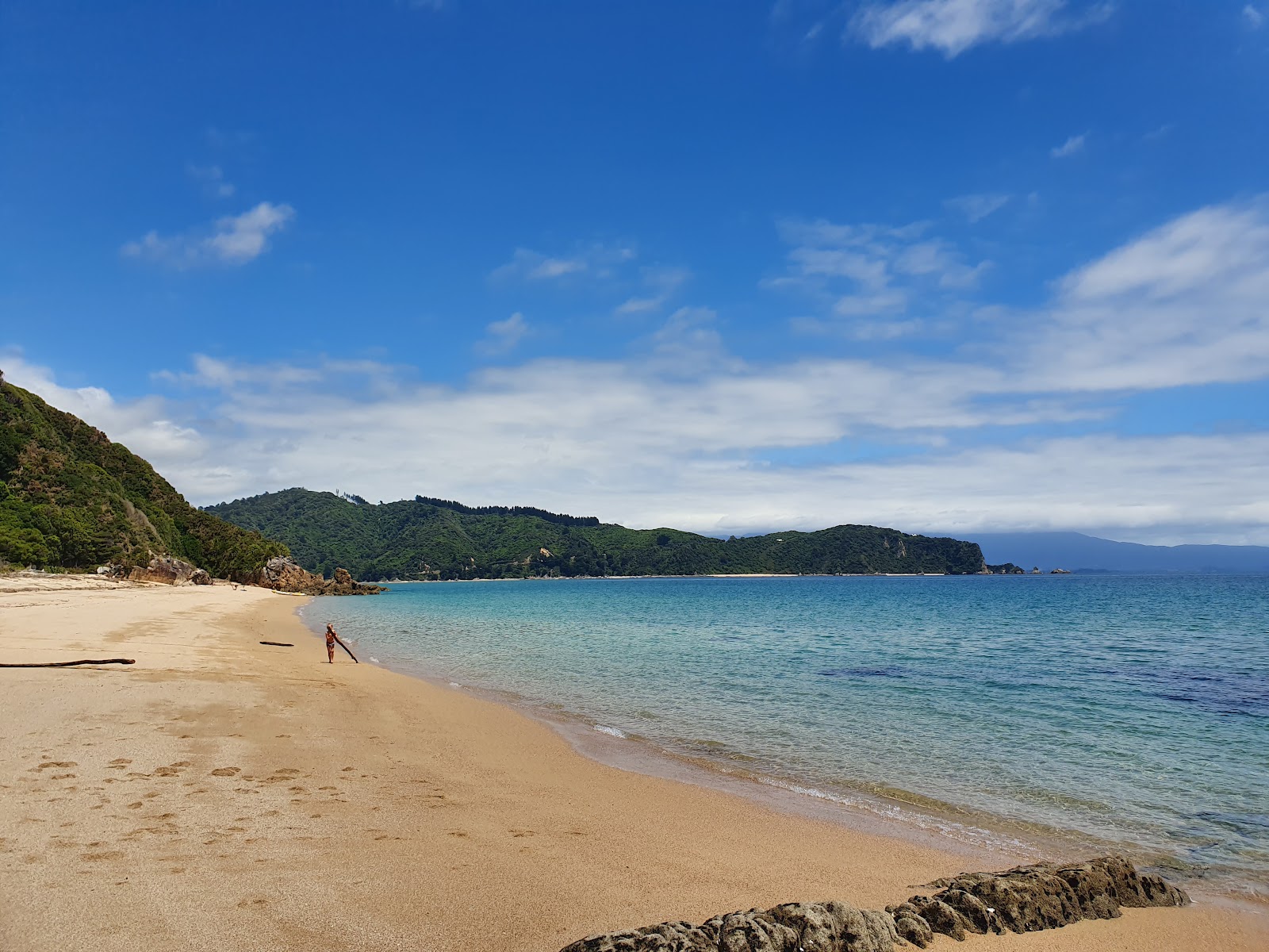 Wainui Bay New Zealand (2026) – Best of TikTok, Instagram & Reddit ...