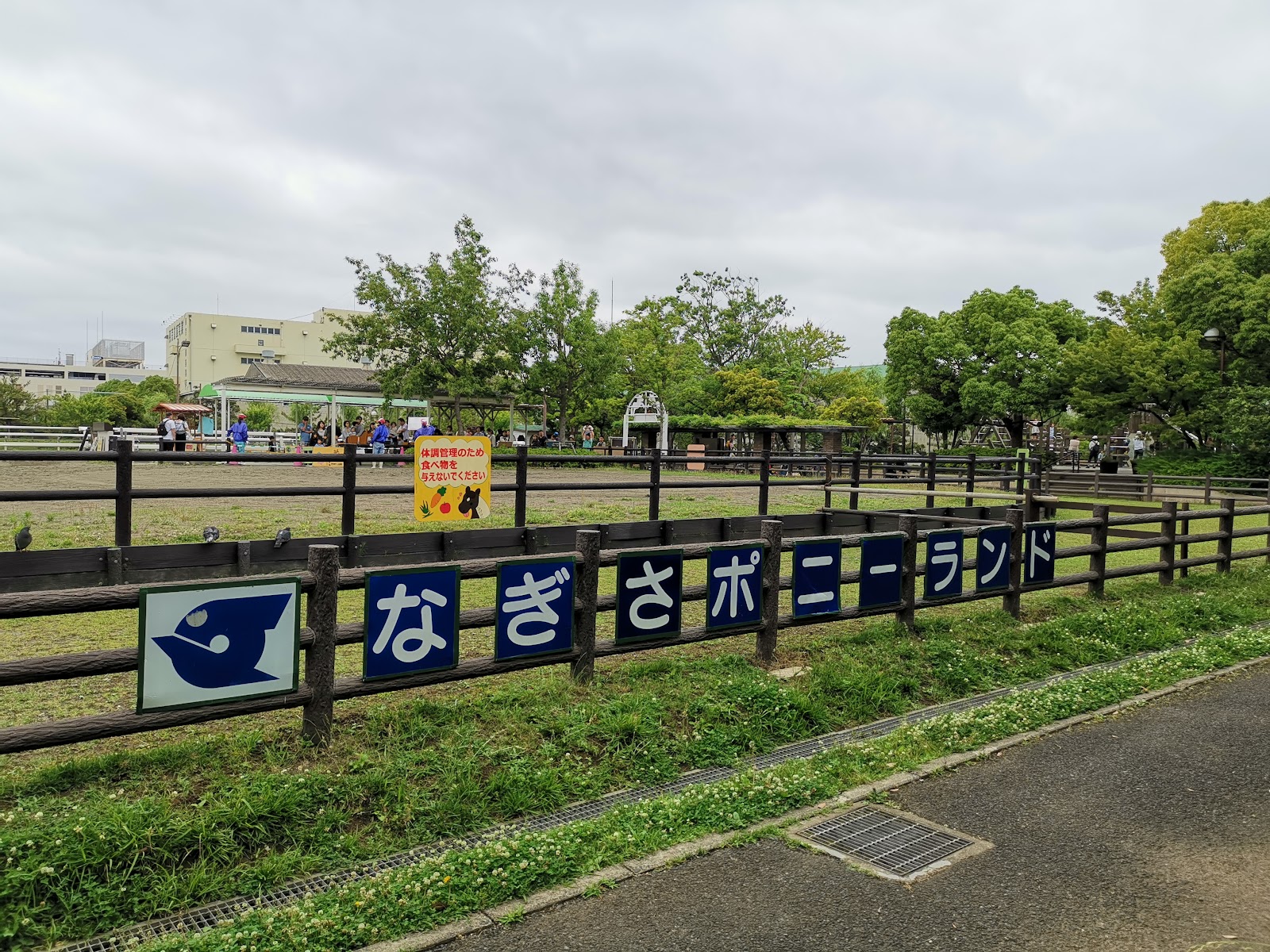 Nagisa Pony Land (2025) – Best of TikTok, Instagram & Reddit Travel Guide