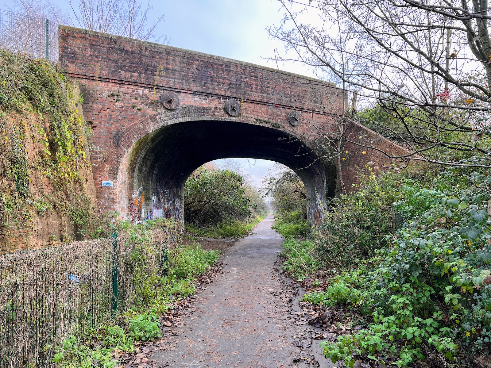 Castleman Trailway (2026) – Best of TikTok, Instagram & Reddit Travel Guide