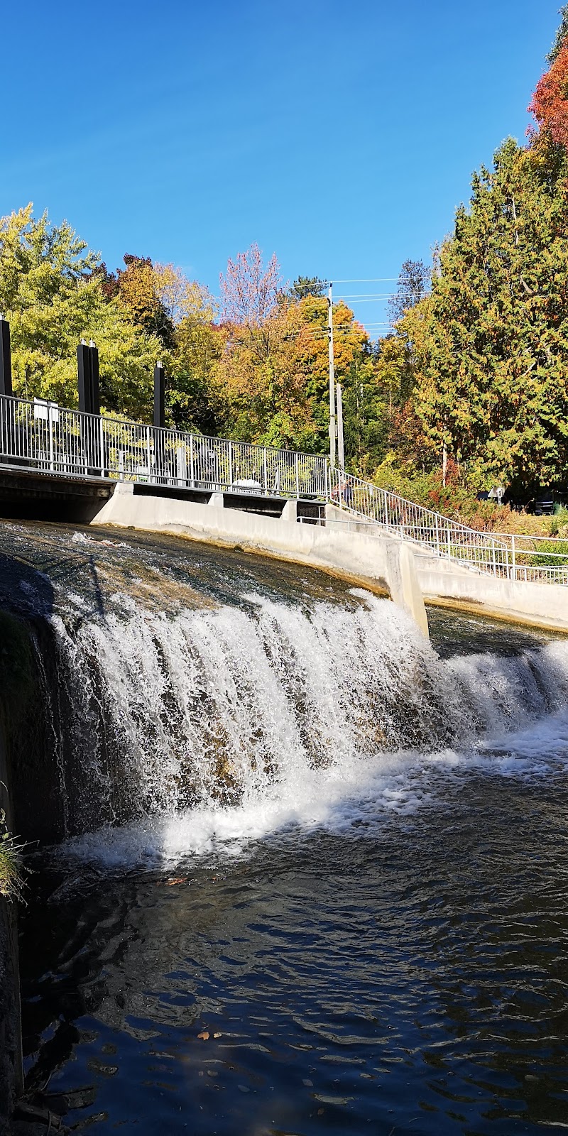 Mill Dam and Fish Ladder (2026) – Best of TikTok, Instagram & Reddit ...