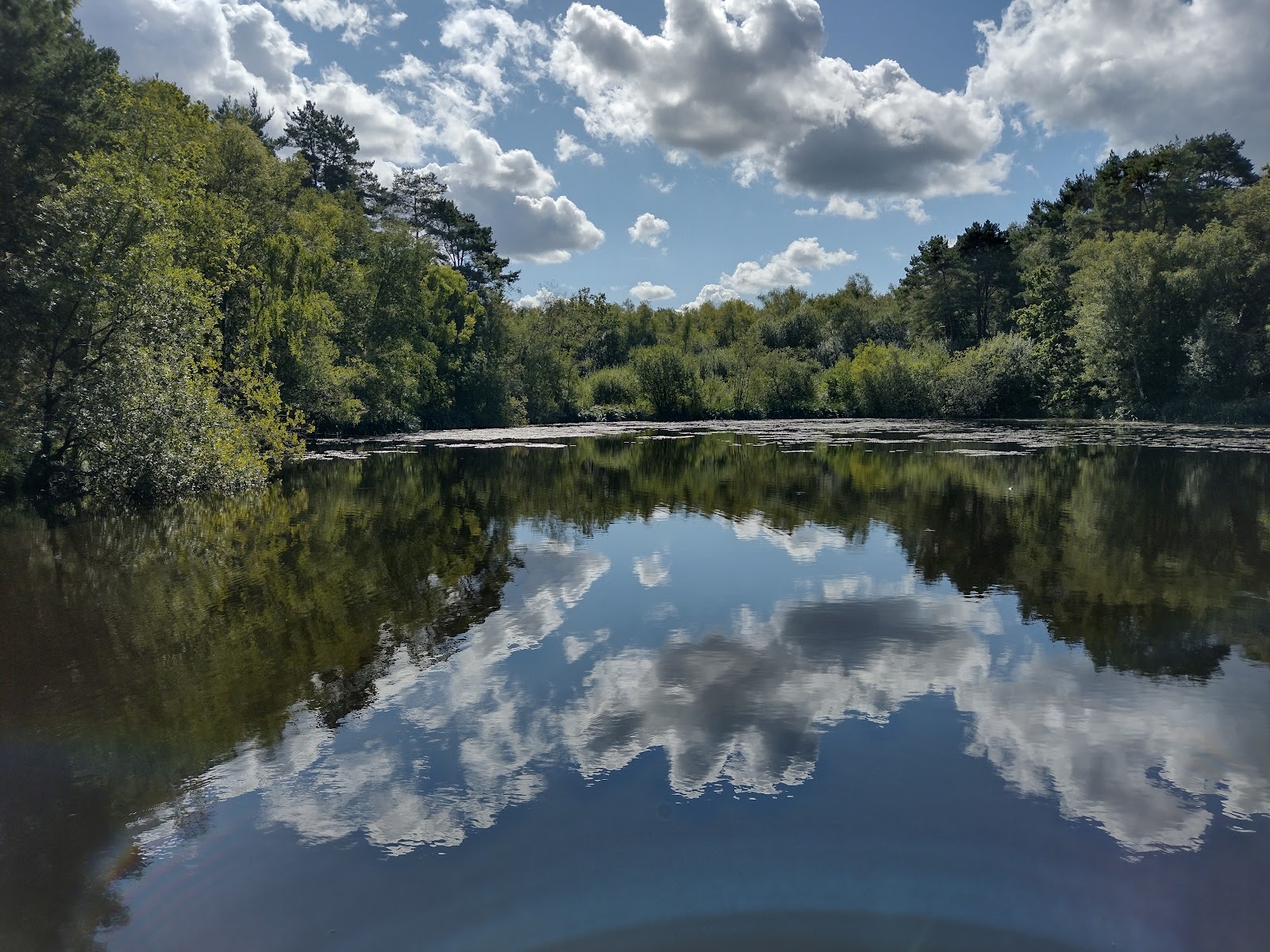 Yateley Common Country Park (2026) – Best of TikTok, Instagram & Reddit ...