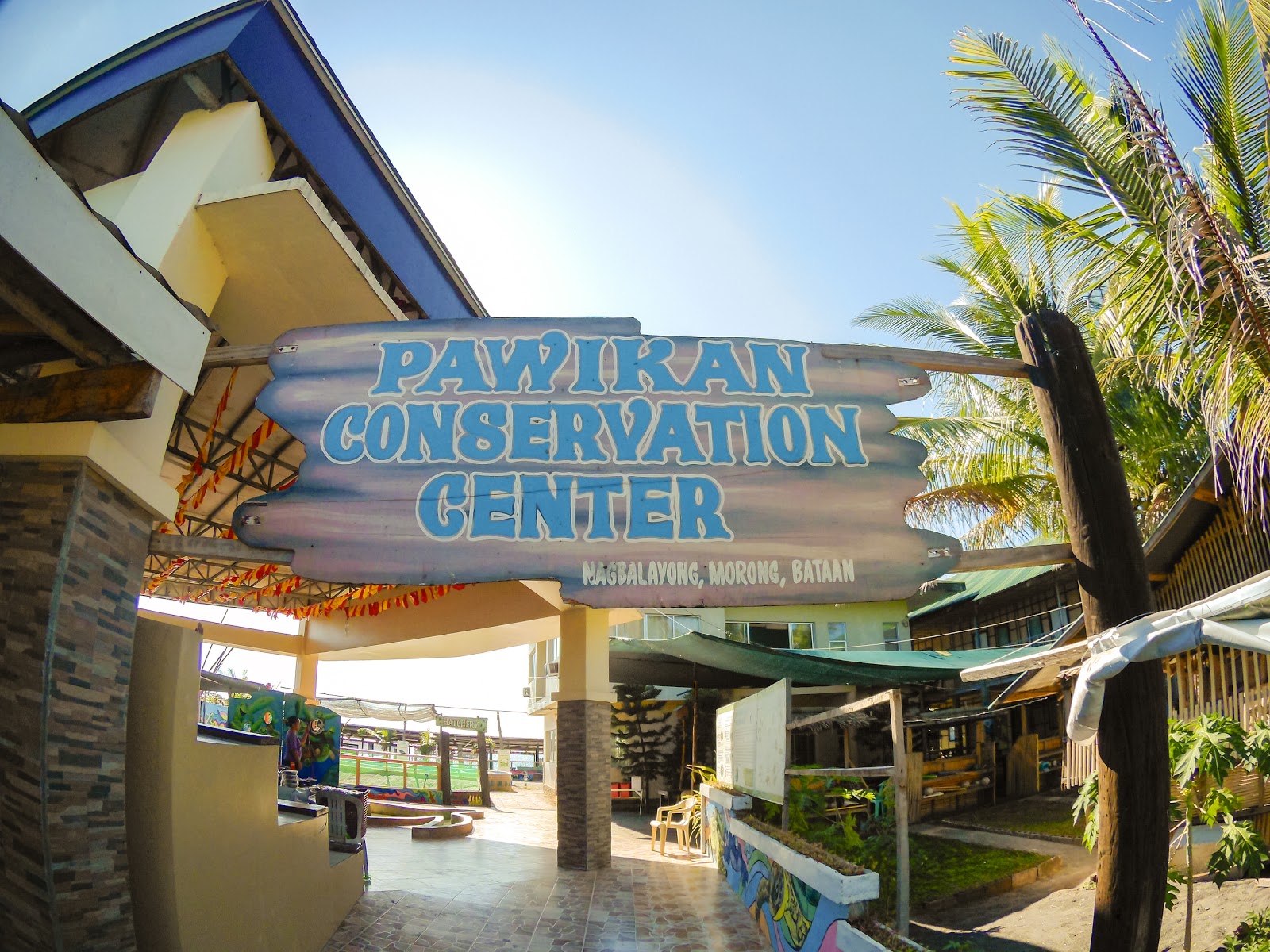 Pawikan Conservation Center (2025) – Best of TikTok, Instagram & Reddit ...