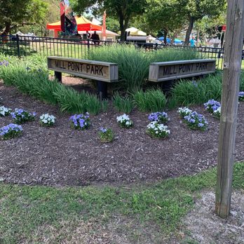 Mill Point Park (2026) – Best of TikTok, Instagram & Reddit Travel Guide