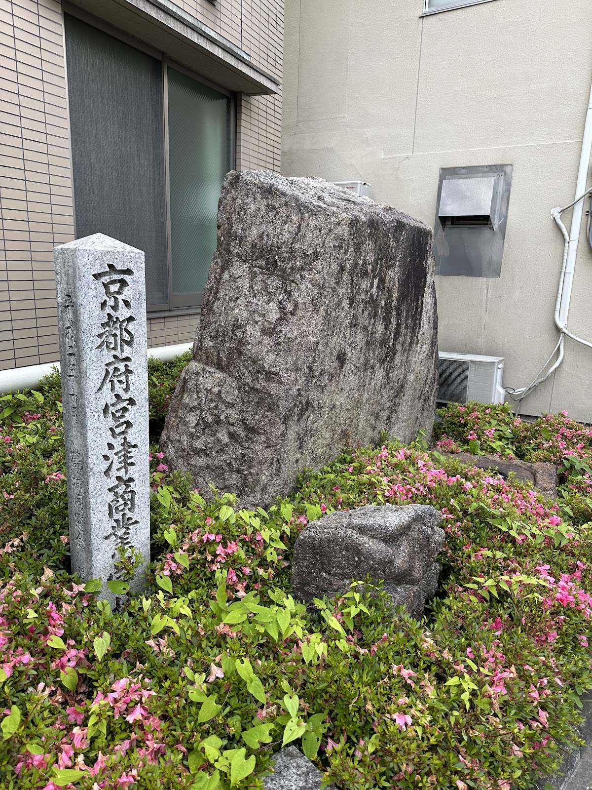 Miyazu Castle Ruins Park (2026) – Best of TikTok, Instagram & Reddit ...