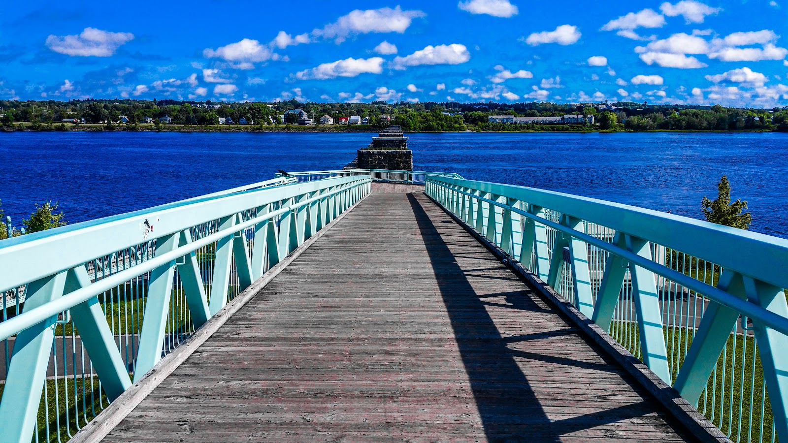Carleton Street Historic Streetscape (2026) – Best of TikTok, Instagram ...