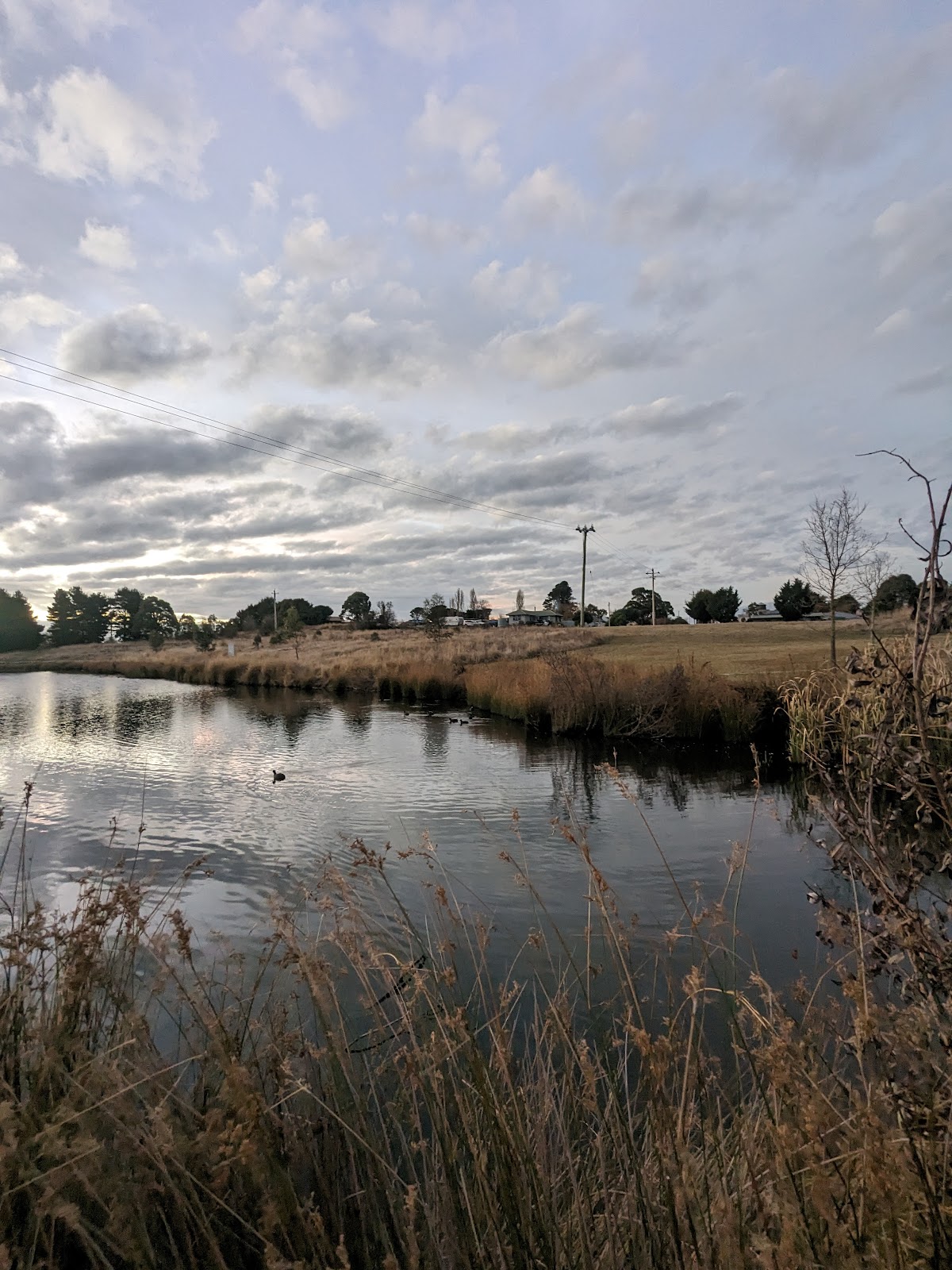 Lake Williams Nimmitabel (2026) – Best of TikTok, Instagram & Reddit ...