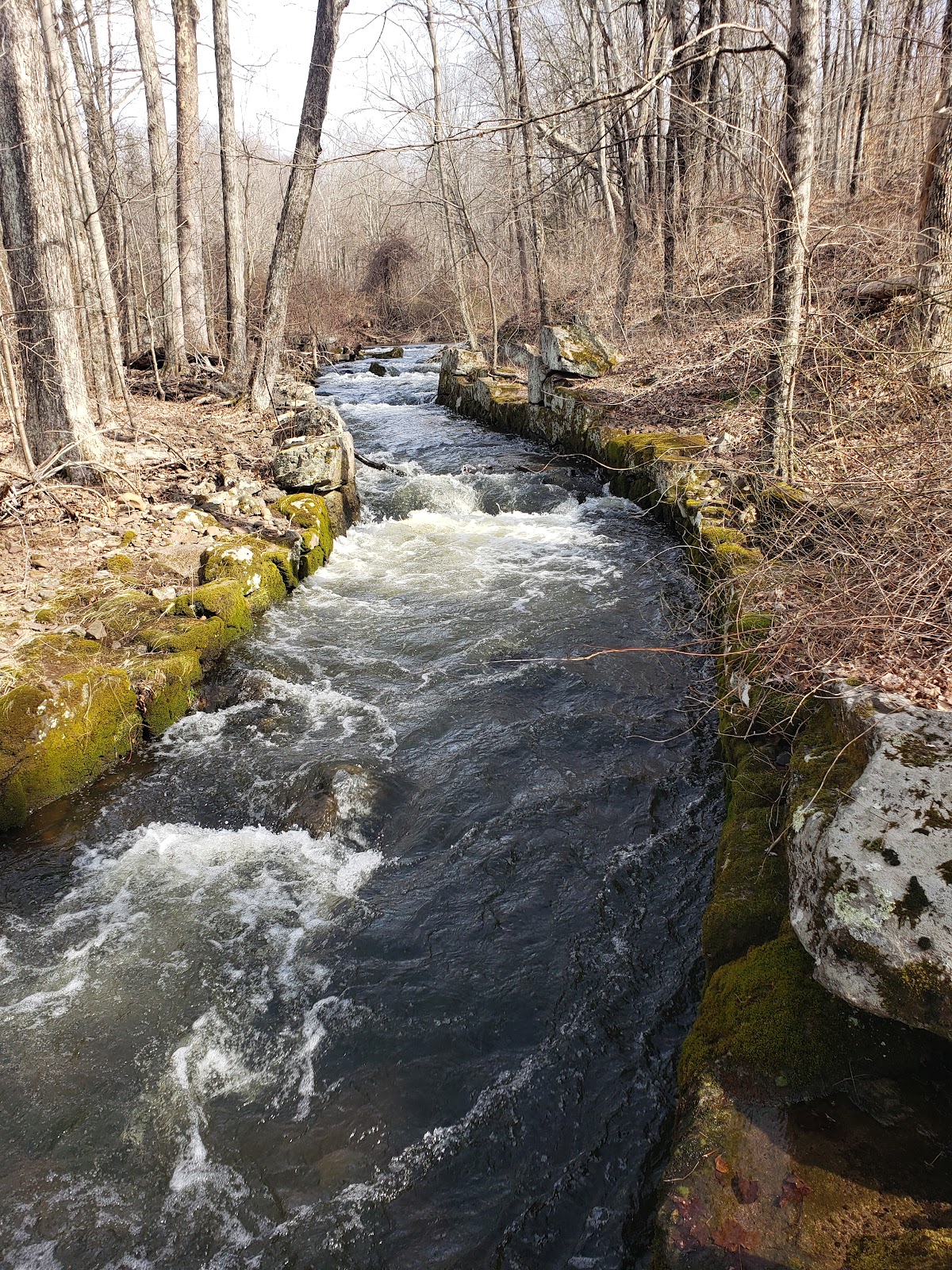 Tyler Mill Preserve (2026) – Best of TikTok, Instagram & Reddit Travel ...