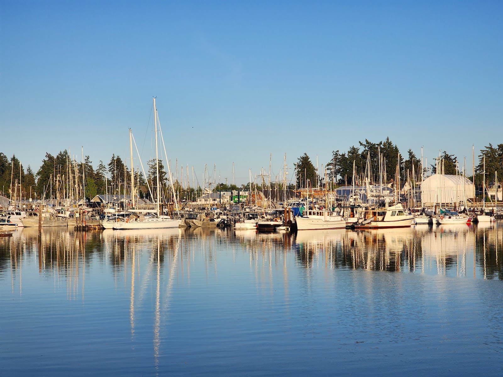 Tsehum Harbour British Columbia (2026) – Best of TikTok, Instagram ...